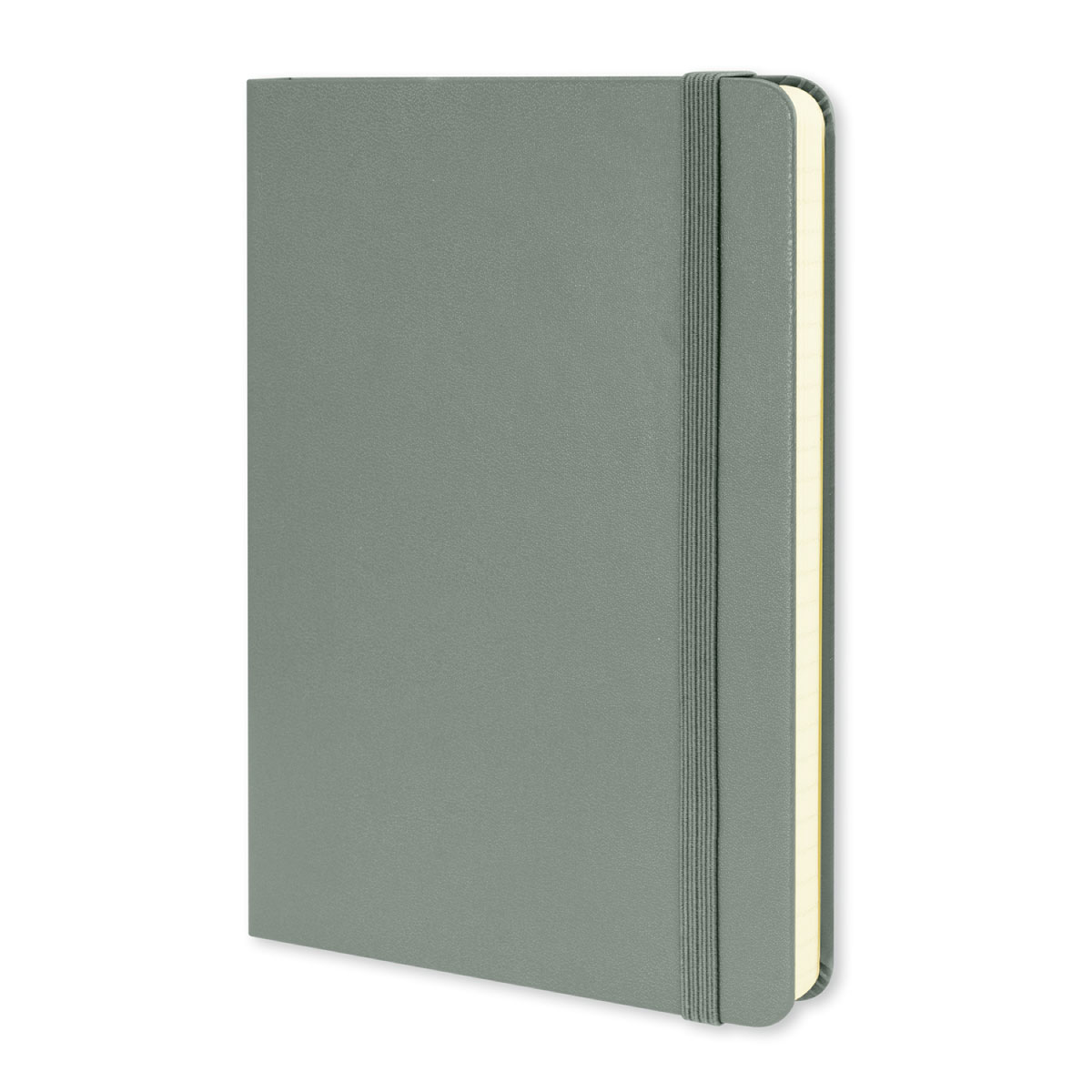 Promotional Moleskine Classic Hard Cover Notebooks - Medium | Promotion ...