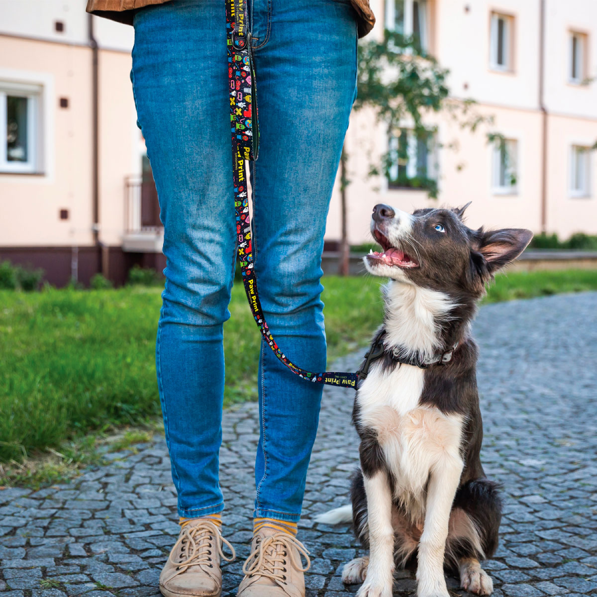 Promotional Sublimated Dog Leads | Promotion Products