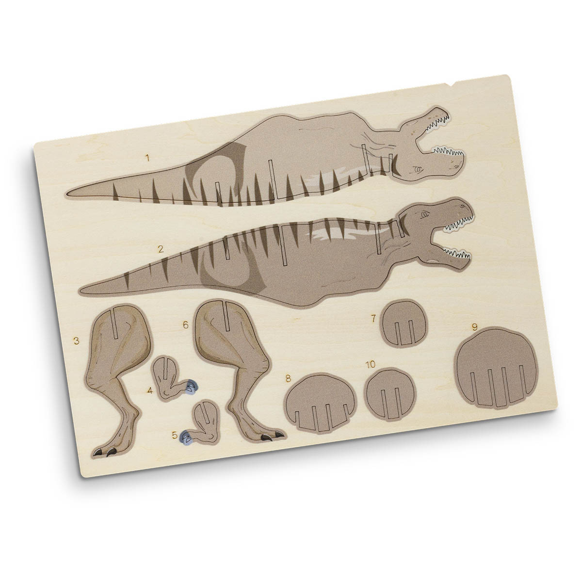 Promotional Tyrannosaurus Rex Wooden Model Kits | Promotion Products