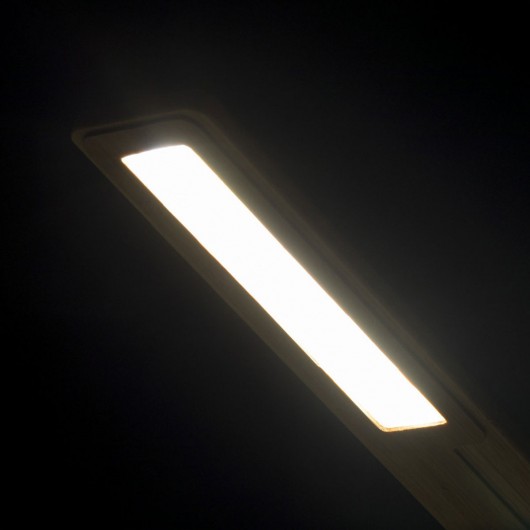 Promotional Panda LED Eco Lamps | Promotion Products